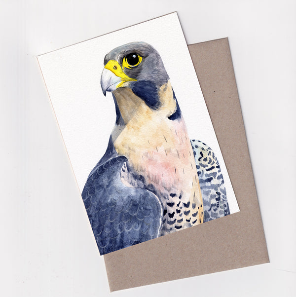 Peregrine Falcon - A6 Greeting Card - Little Rowan Redhead