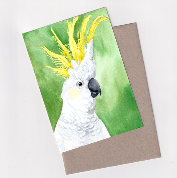 Sulfur Crested Cockatoo - A6 Greeting Card - Little Rowan Redhead