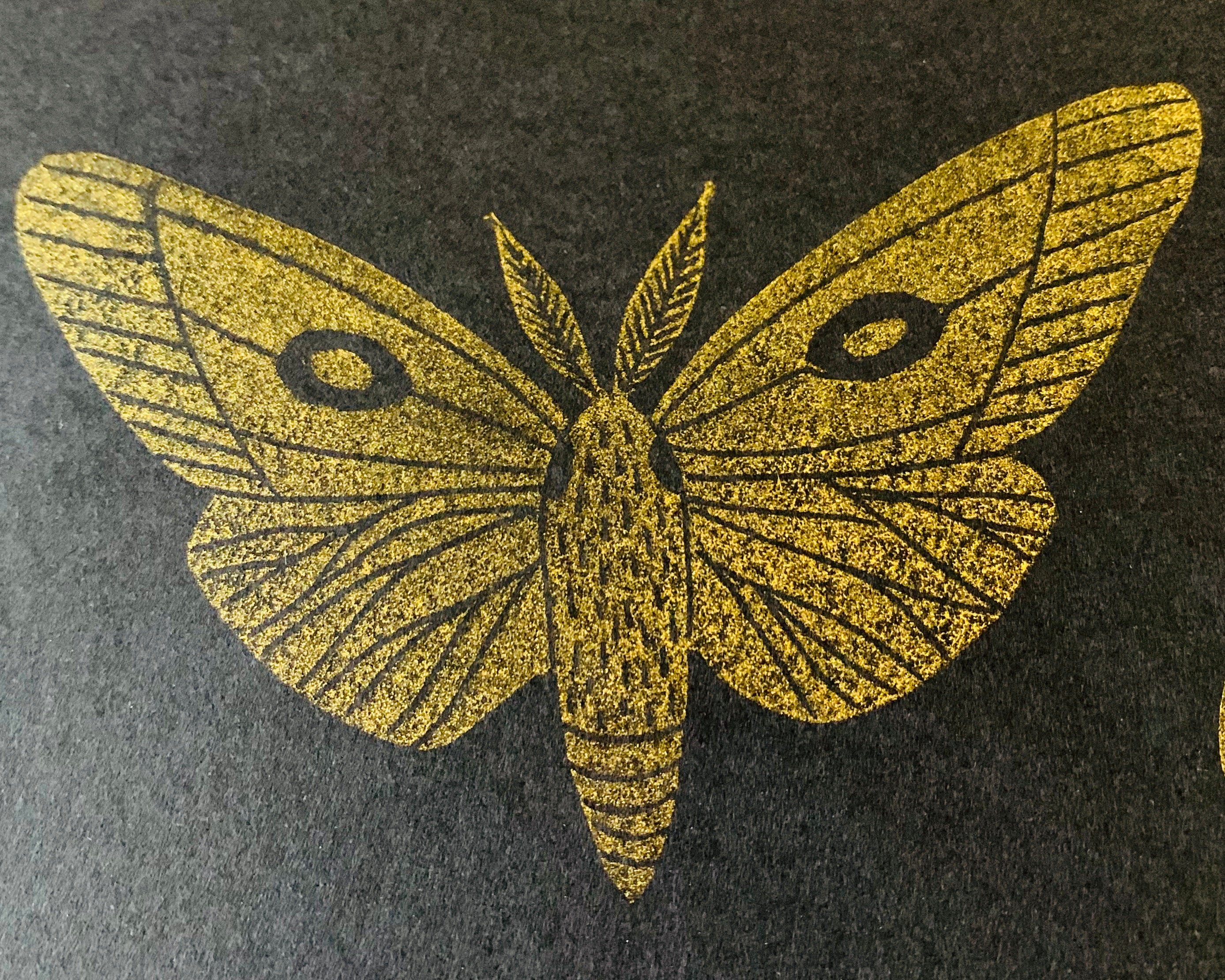 Moth rubber stamp, flying insect rubber stamp, hand carved stamp, bloc ...